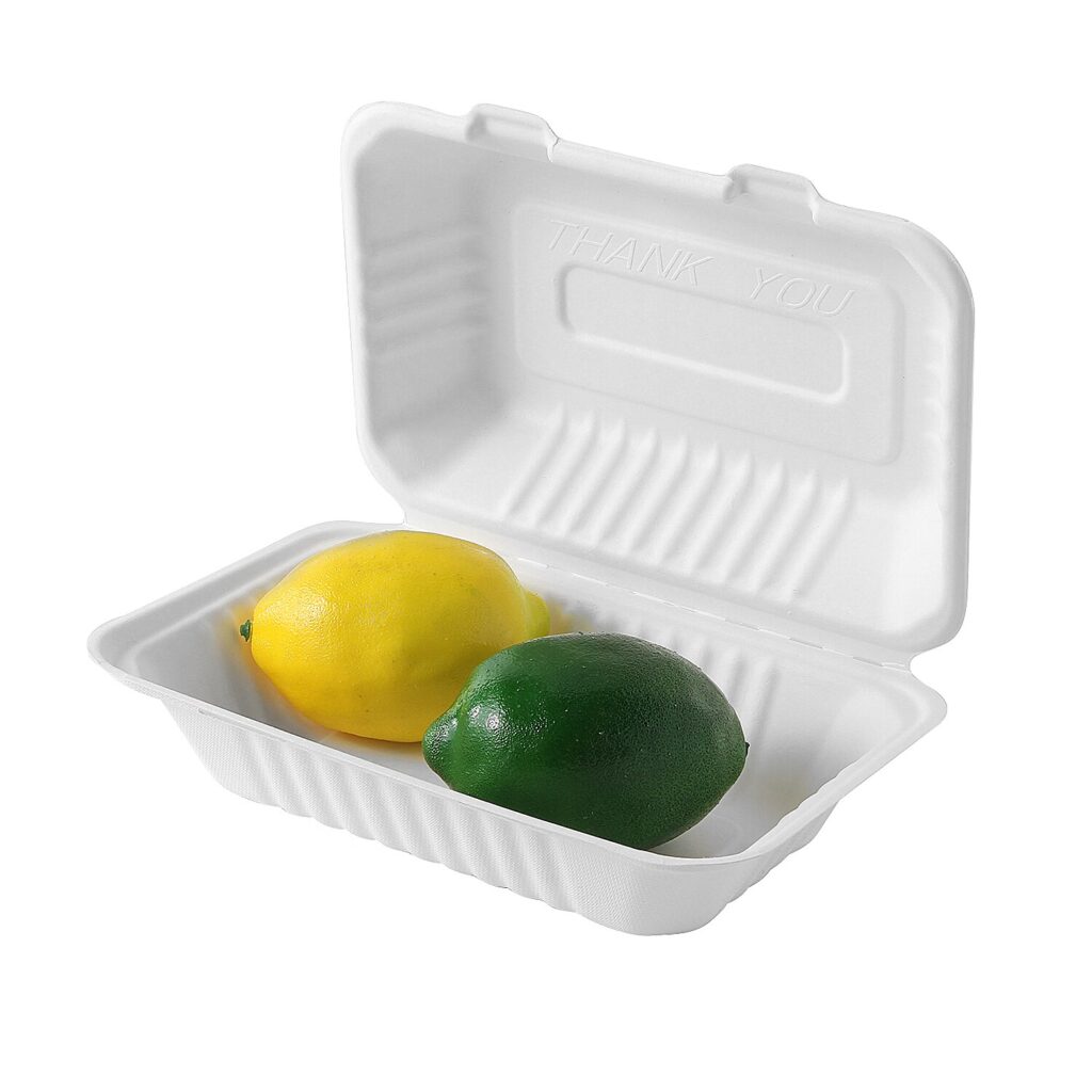 Bagasse Clamshell box and Plate – Food Packaging